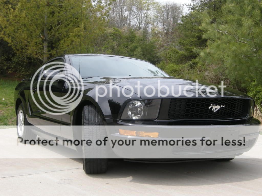 New 06 Mustang | Modded Mustang Forums