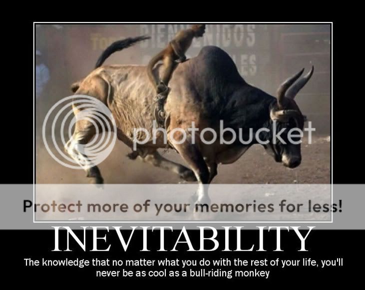 FARK.com: (4177198) Whiplash the Cowboy Monkey slated to be knighted ...